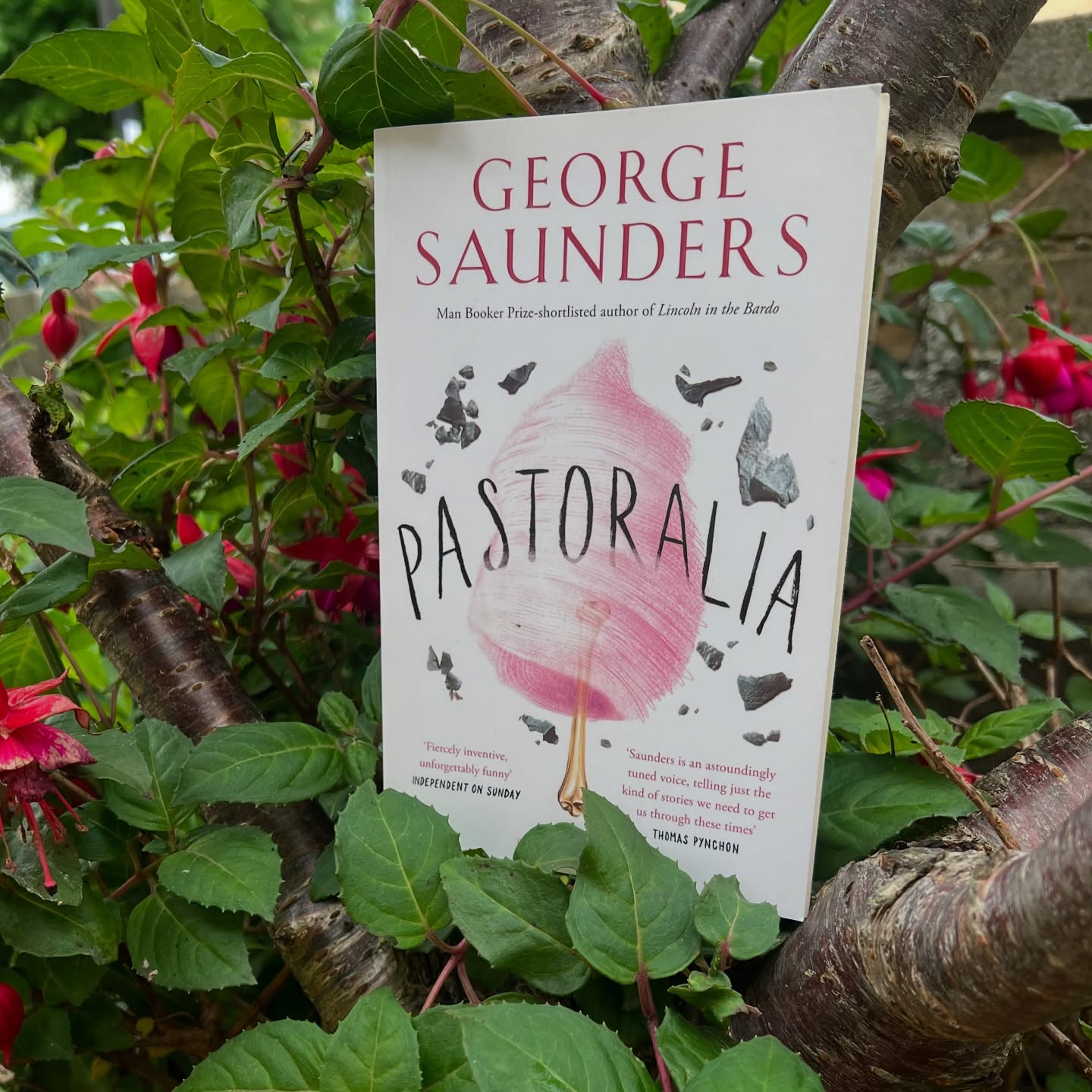 Pastoralia – Have You Read This